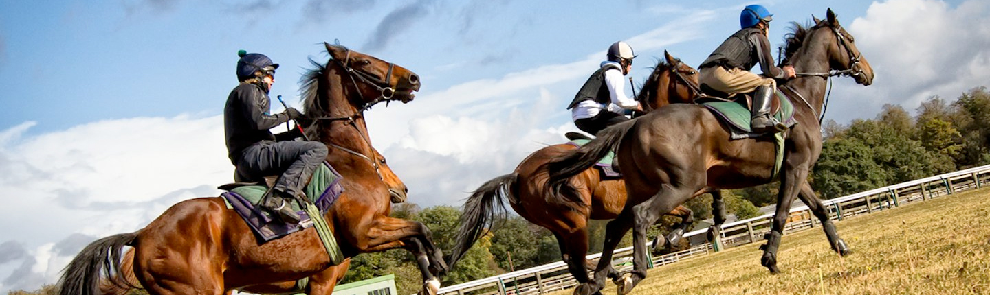 British Horseracing Authority - RH Advertising